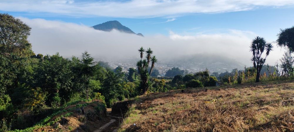 Descubre porqué Santa María es la capital del primer campeonato ...